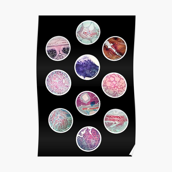 "Histology Slides" Poster by MVanHyll | Redbubble