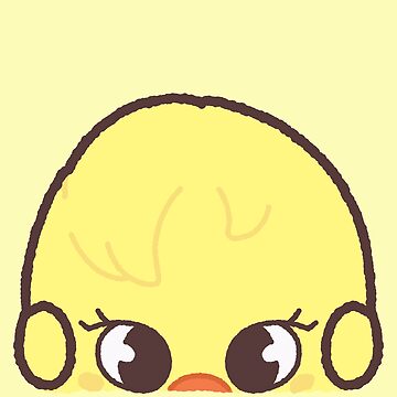 "Stray kids - skzoo bbokari" Sticker by MomosDrawing | Redbubble