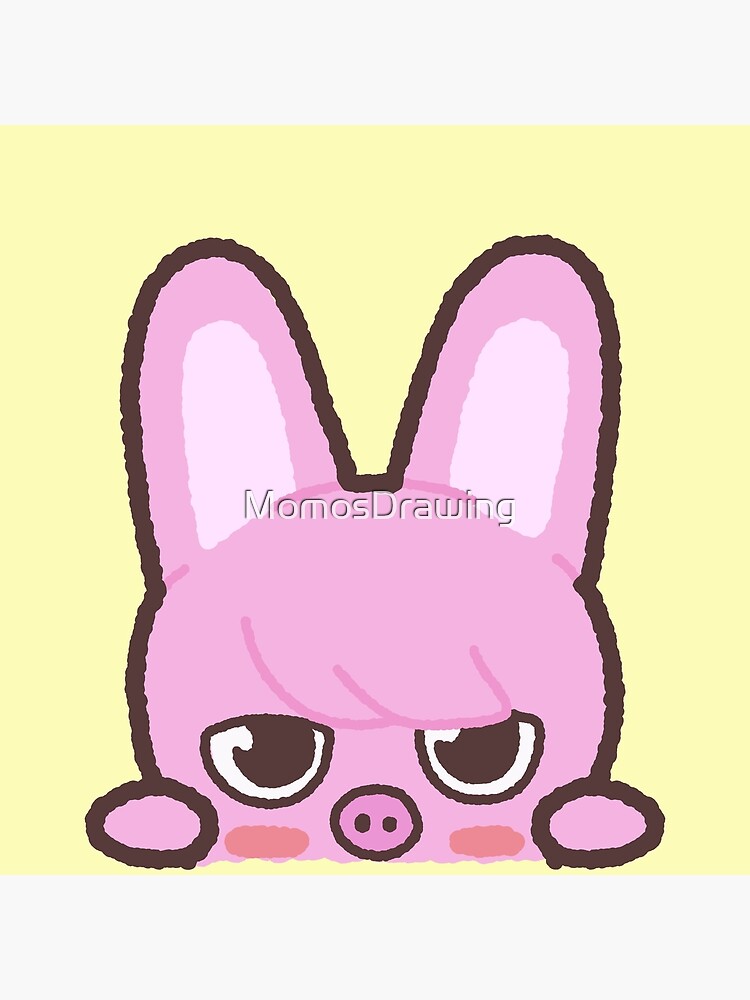 "Stray kids - skzoo Dwaekki" Poster for Sale by MomosDrawing | Redbubble