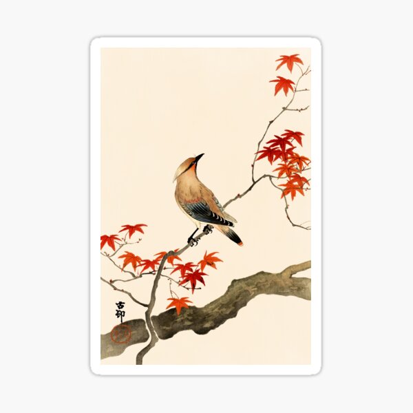 "Waxwing on Japanese Maple, early 1900s - Vintage" Sticker for Sale by ...