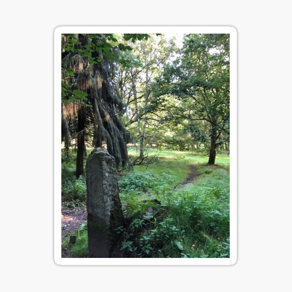"Woodland Path" Sticker for Sale by ShelleebeeArt | Redbubble