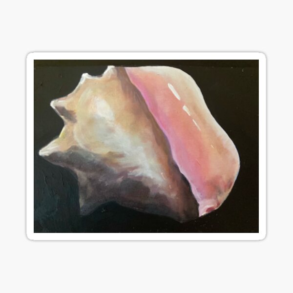 "Conch Third Version" Sticker for Sale by ElleVictoriaArt | Redbubble