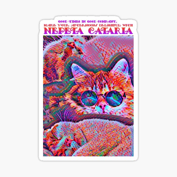 "cats on catnip trippy kitty" Sticker for Sale by rattykins | Redbubble