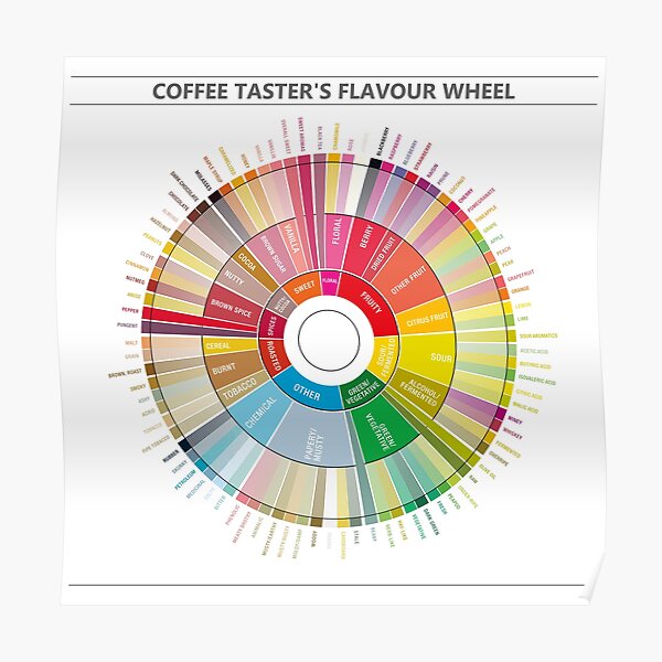"Coffee Flavour Wheel" Poster for Sale by Groenendijk | Redbubble