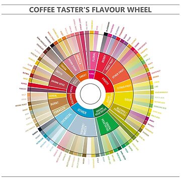 "Coffee Flavour Wheel" Poster for Sale by Groenendijk | Redbubble