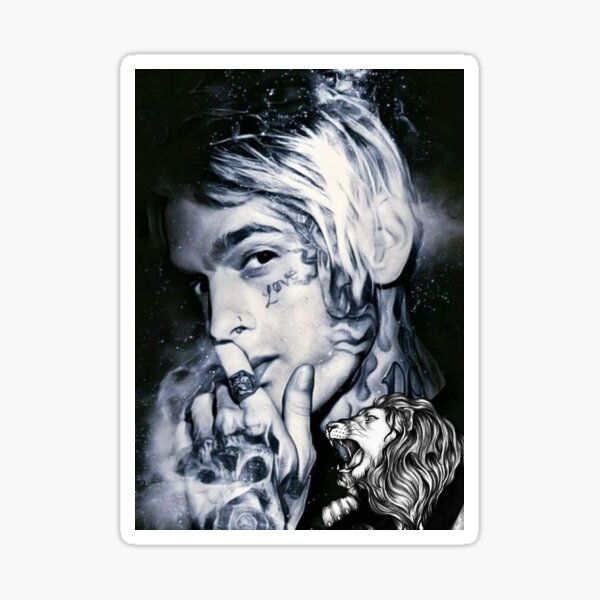 "Aaron Carter" Sticker for Sale by Wippa | Redbubble