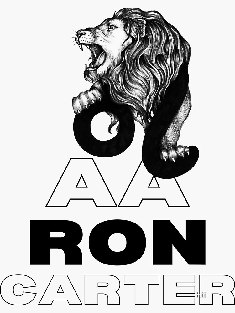 "Aaron Carter" Sticker for Sale by Wippa | Redbubble