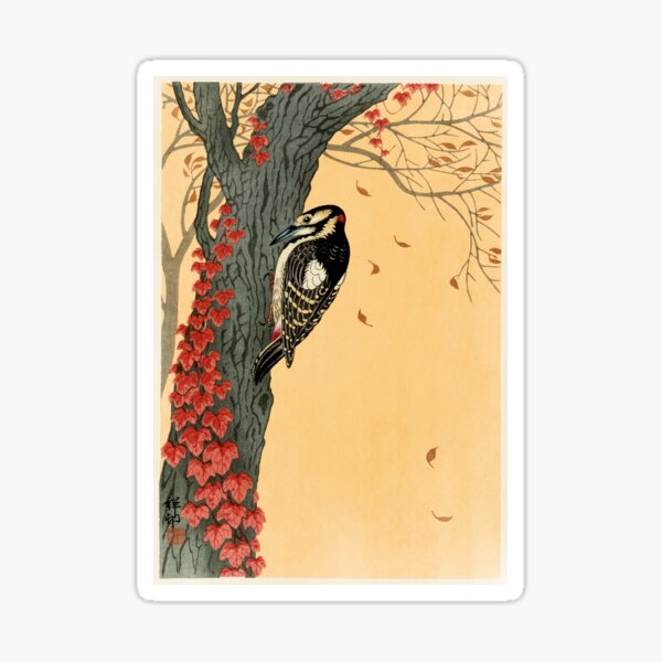 "Woodpecker in a Tree With Red Ivy, early 1900s - Vintage" Sticker for ...