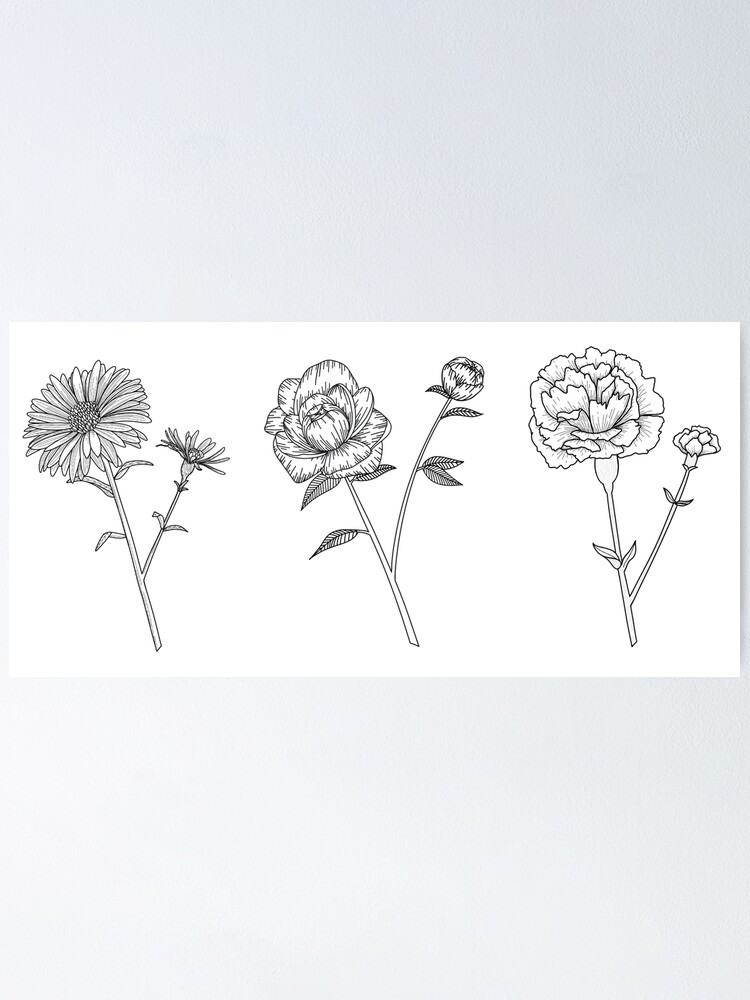 "Fine Line Flower Trio Pack" Poster for Sale by BluebellPainter | Redbubble