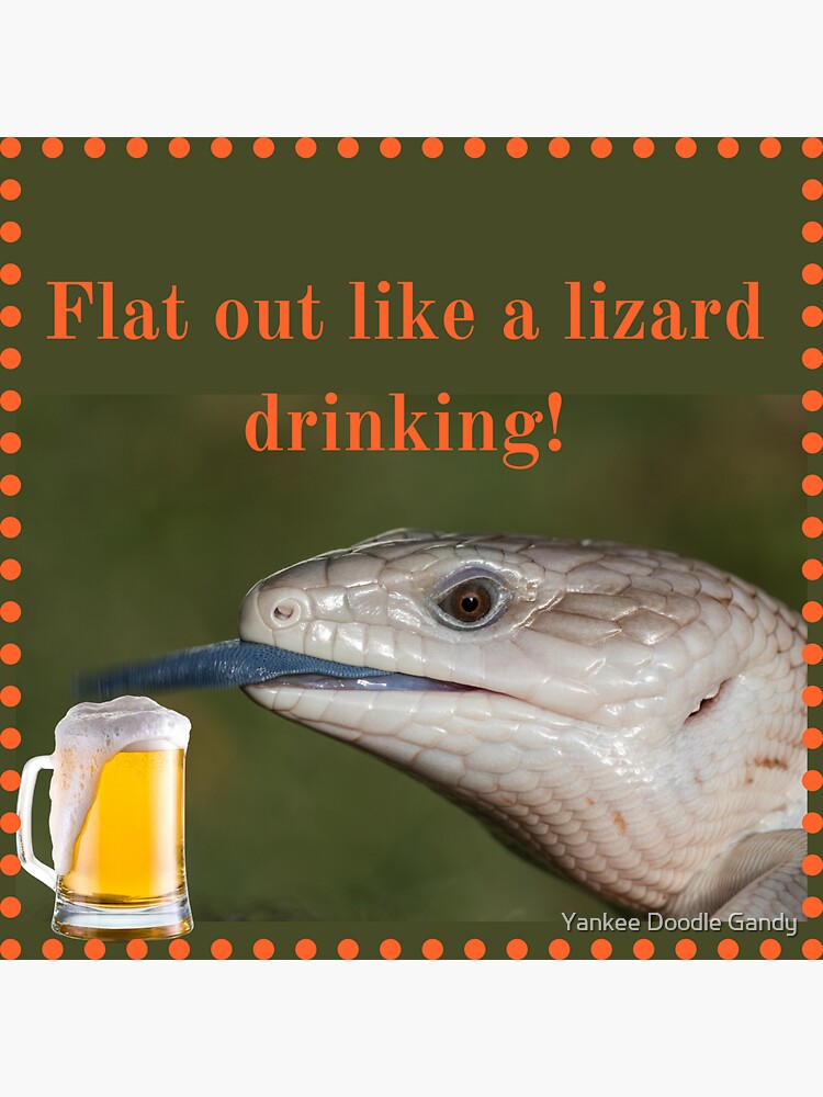 "Flat out like a lizard drinking!" Sticker for Sale by gandalfnz ...