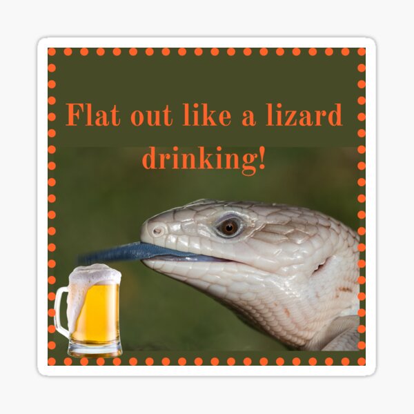 "Flat out like a lizard drinking!" Sticker for Sale by gandalfnz ...