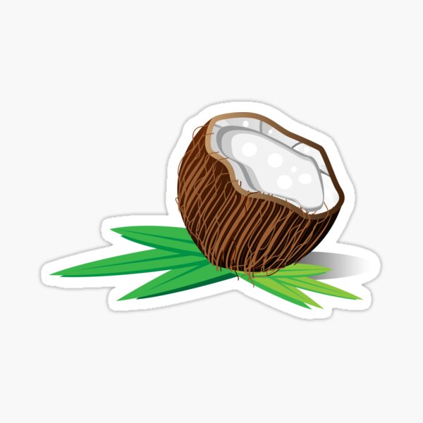 "Coconut" Sticker for Sale by fourretout | Redbubble