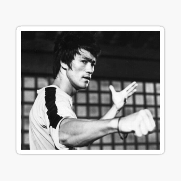 "Black white lee" Sticker for Sale by littlegirls2 | Redbubble