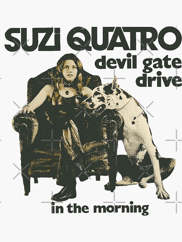 "VTG OLD Dogs B/W Retro Suzi-Quatro Distressed Album Essential" Sticker ...