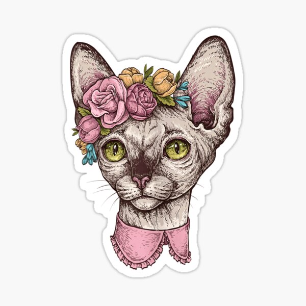 "Sphynx Cat Cute Sphinx Cat" Sticker for Sale by yashimnyani | Redbubble