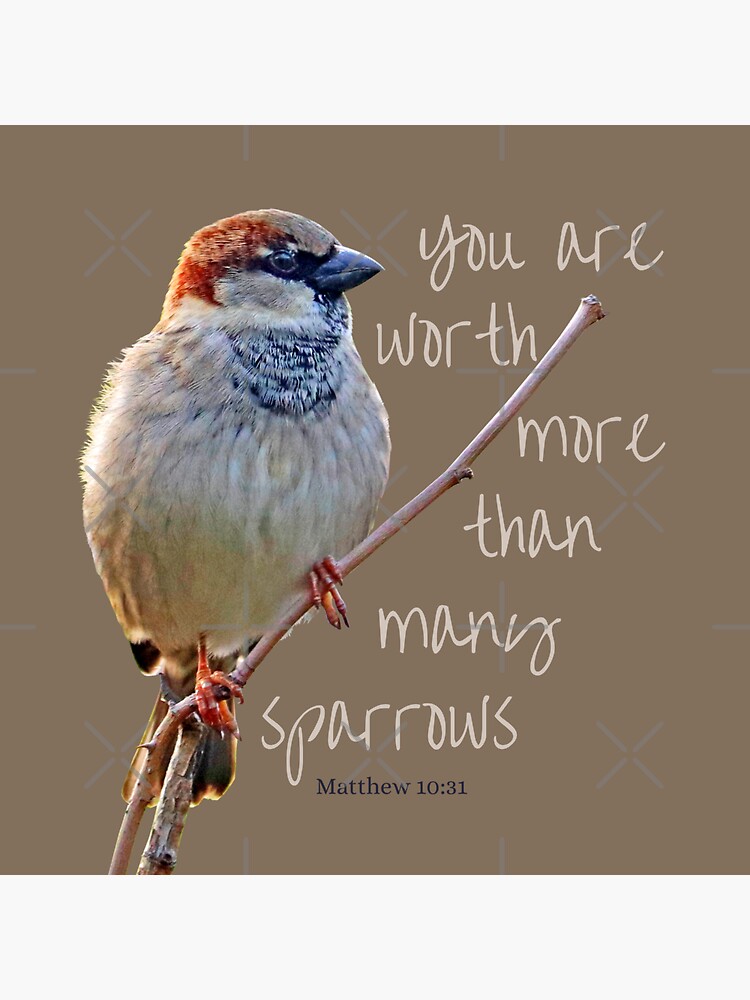 "You are worth more than many sparrows | Matthew 10:31 | Encouragement ...