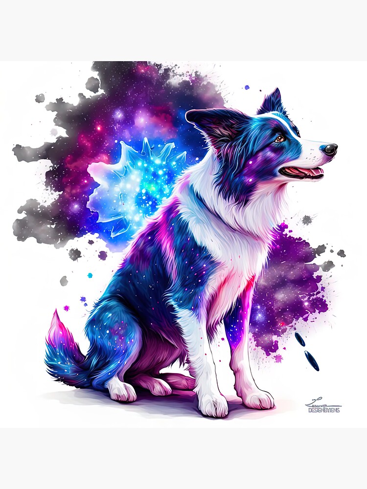 "border collie space" Sticker for Sale by Jenslemmens | Redbubble