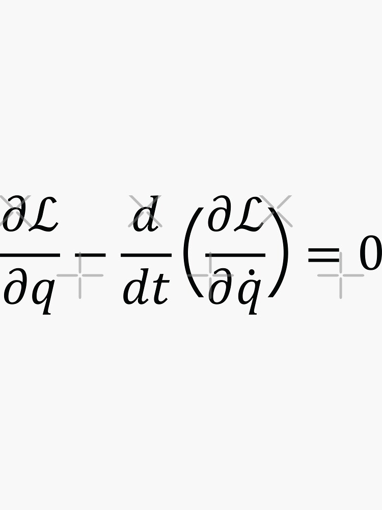 Euler Lagrange Equation Sticker For Sale By Sciencecorner Redbubble