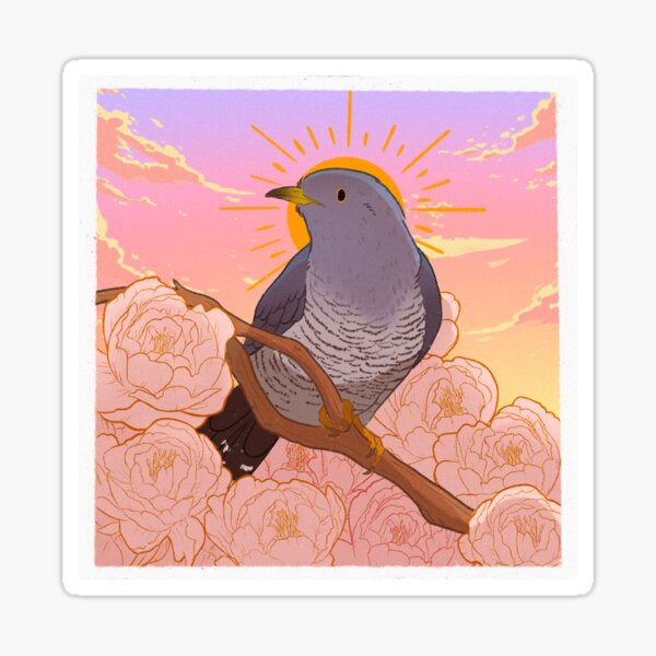 "Common cuckoo" Sticker for Sale by MrMackerel | Redbubble