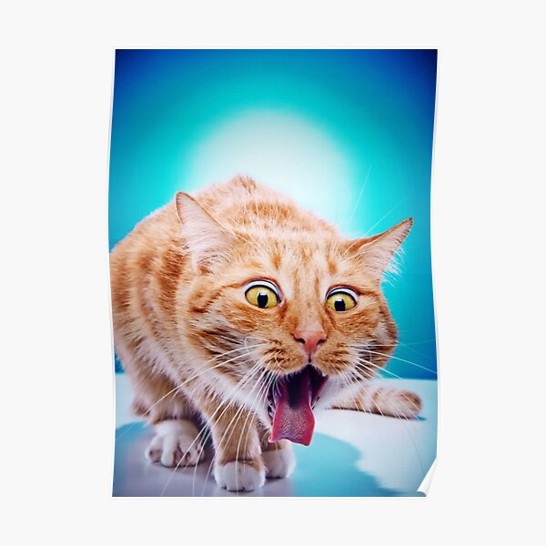 "Cat puke kitty puking hairball furball fuzzy fur ball choking cute ...