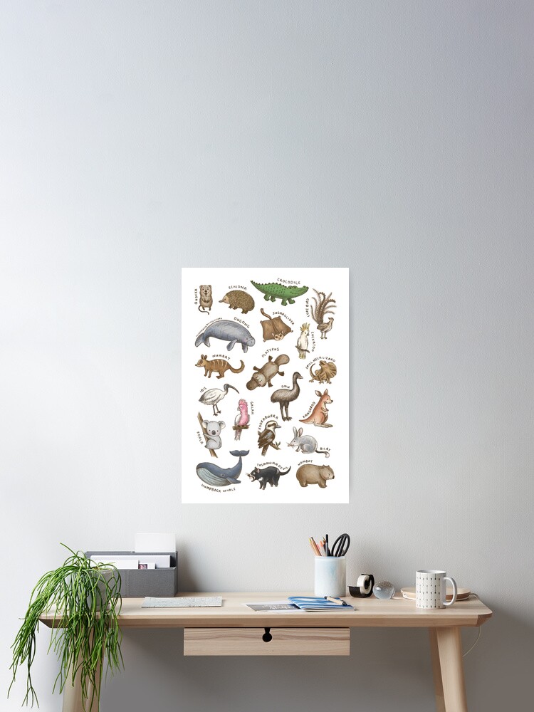 "Types of Australian Animals" Poster for Sale by thosepencils | Redbubble