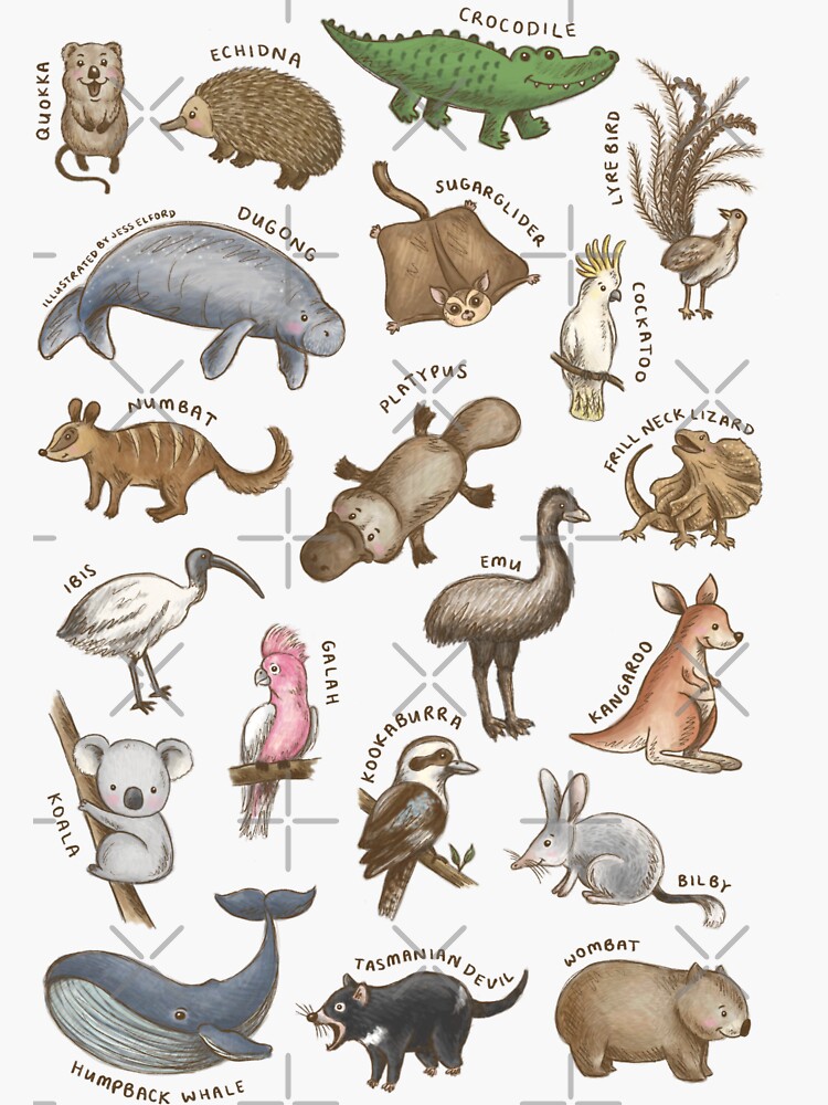 "Types of Australian Animals" Sticker for Sale by thosepencils | Redbubble