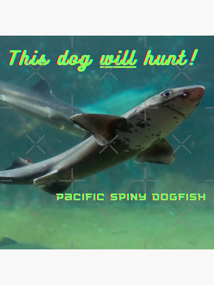 "This Dog Will Hunt" Sticker for Sale by CaptJohnny | Redbubble