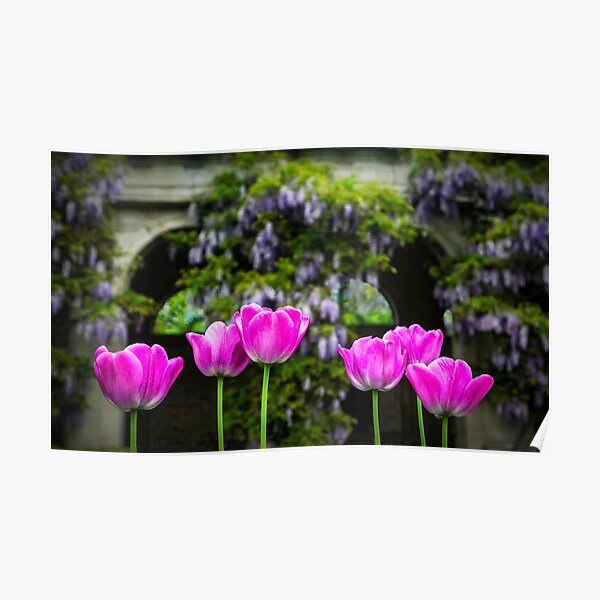 "Gardens at The George Eastman House in Spring" Poster for Sale by ...