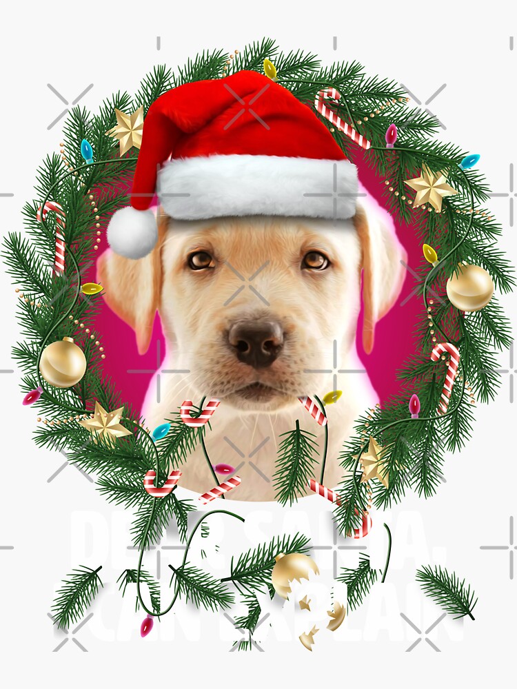 "Dear Santa, I can Explain - Funny Yellow Labrador" Sticker for Sale by ...