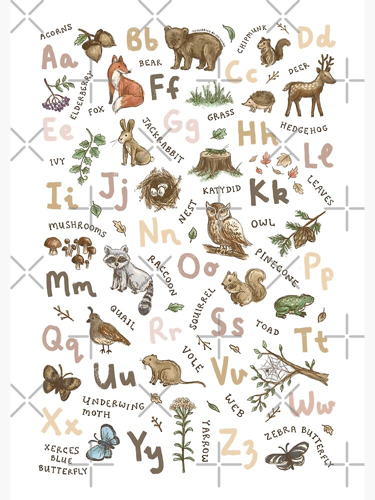 "Woodland Animals Alphabet" Poster for Sale by thosepencils | Redbubble