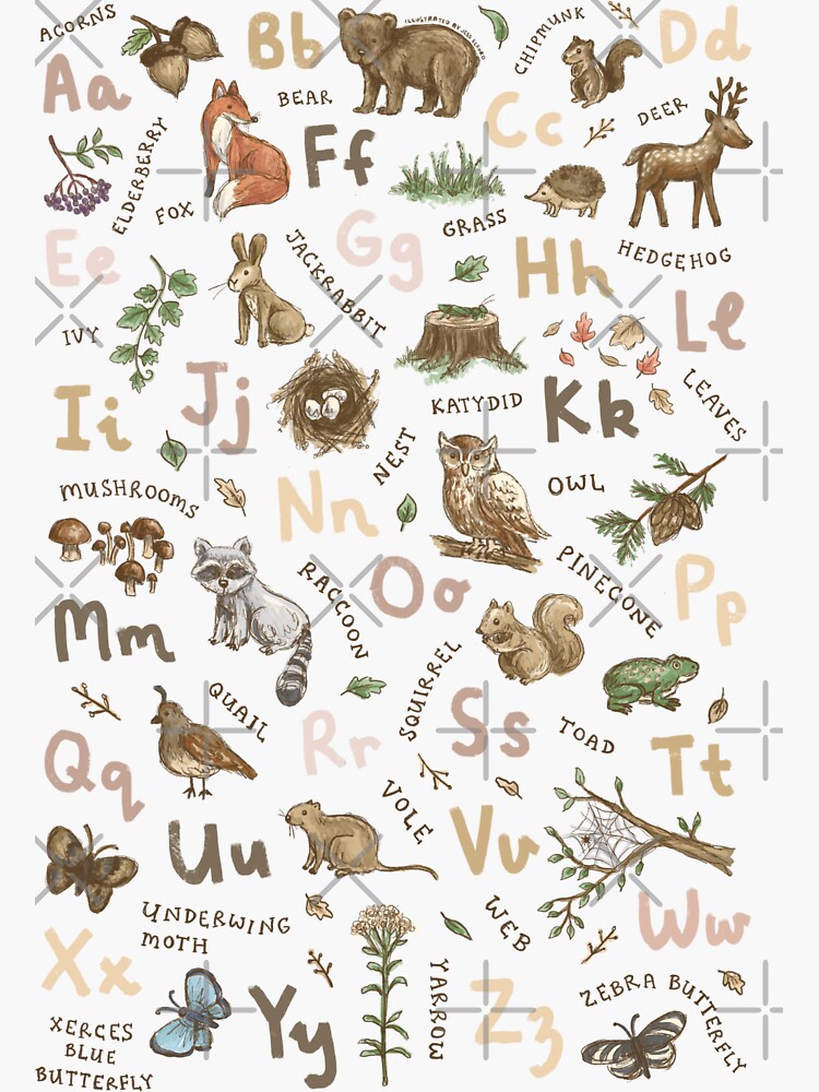 "Woodland Animals Alphabet" Sticker for Sale by thosepencils | Redbubble