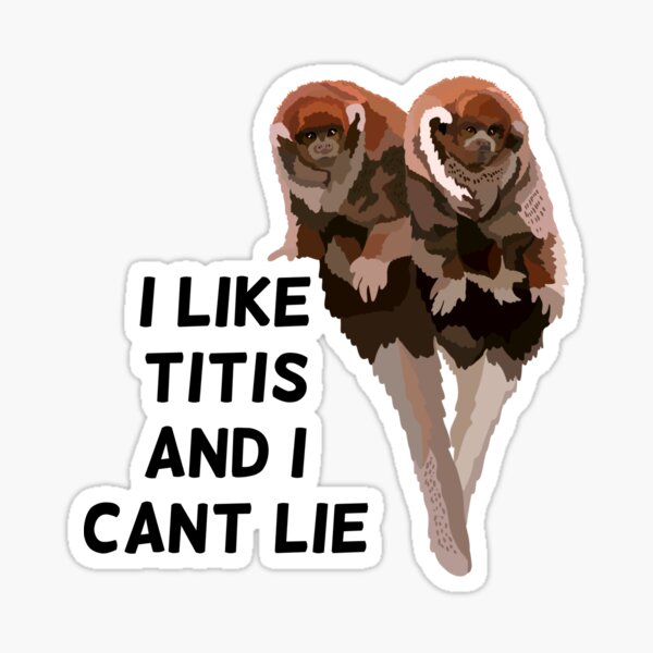 "T is for Titi Monkey,Titi Monkey – Small and Playful South American ...