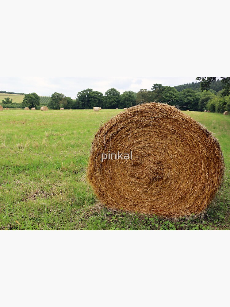 "Hay Bale" Sticker for Sale by pinkal | Redbubble