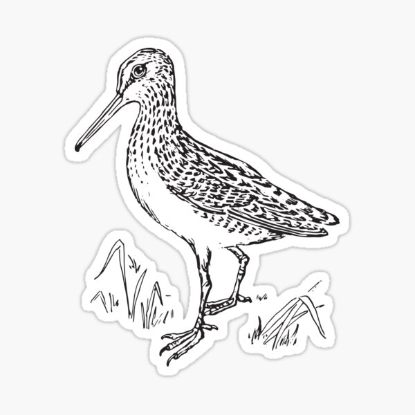 "Snipe" Sticker for Sale by Sarah-Leonard | Redbubble