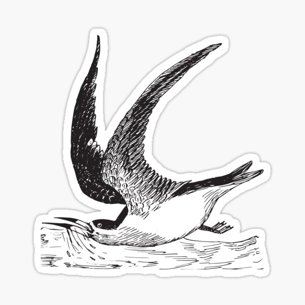"Skimmer" Sticker for Sale by Sarah-Leonard | Redbubble