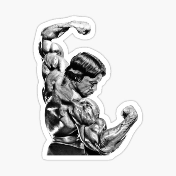 "Arnold Schwarzenegger Classic Pumping Iron" Sticker for Sale by ...
