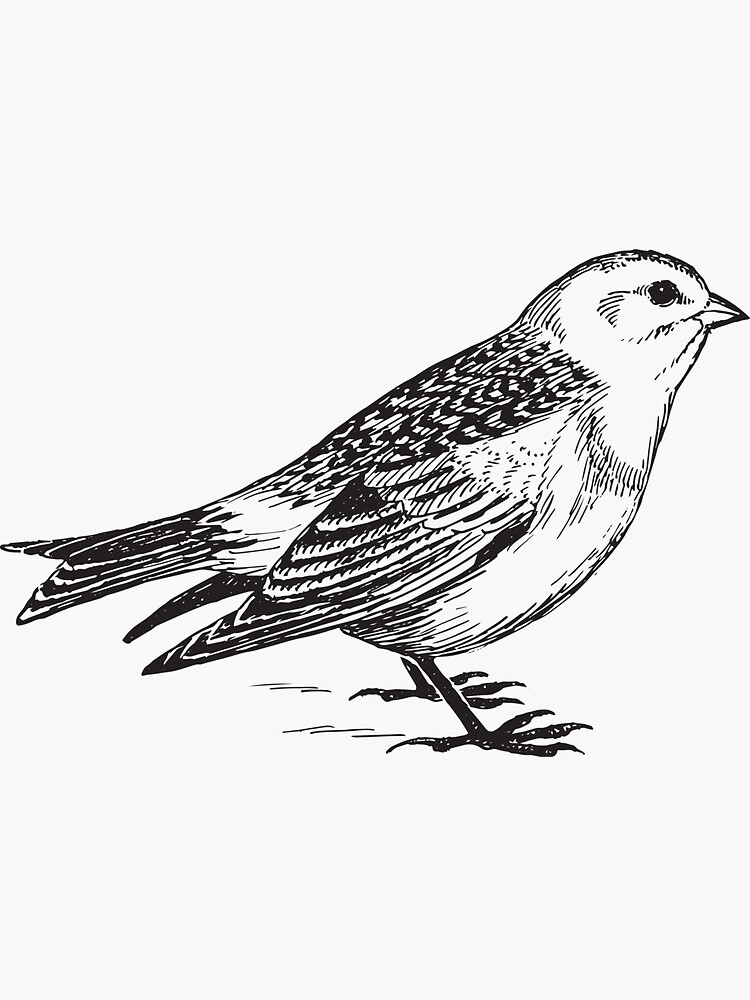 "Snowbunting" Sticker for Sale by Sarah-Leonard | Redbubble