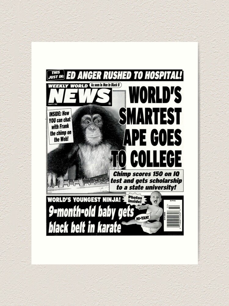 Lámina artística «El simio más inteligente del mundo chimpancé ...