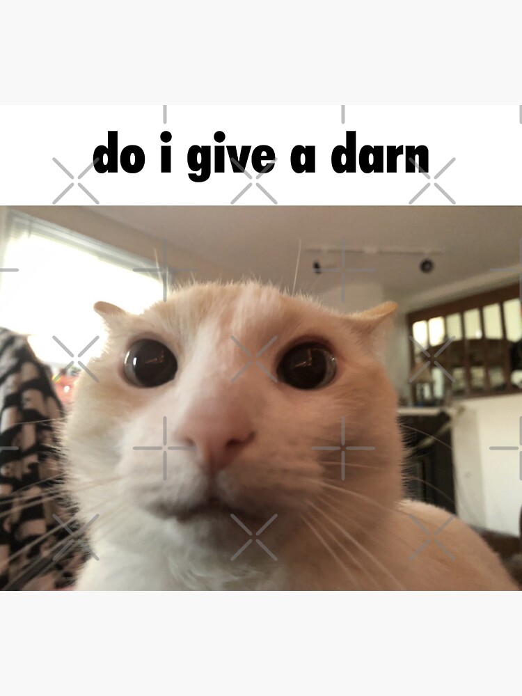 "Do i give a darn" Sticker for Sale by Brayden-H | Redbubble