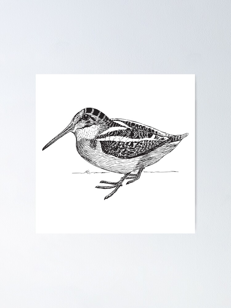 "Woodcock" Poster for Sale by Sarah-Leonard | Redbubble