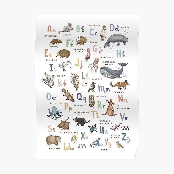 "Australian Animals Alphabet" Poster for Sale by thosepencils | Redbubble
