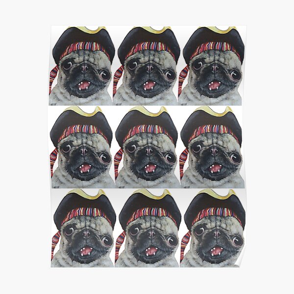 "Slug | SLOTH X PUG | Collaboration Dog VS Sloth | Loser | Goony ...