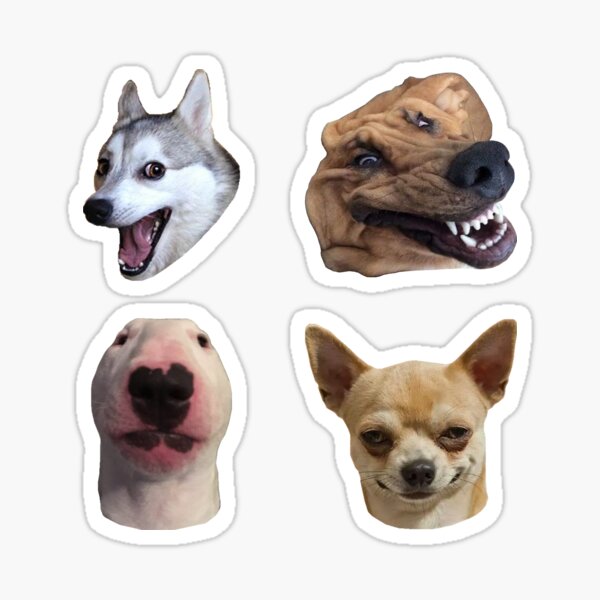 "Dog Memes | Stickers Pack" Sticker for Sale by SocialAtrophy | Redbubble