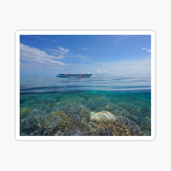 "Tropical seascape outrigger canoe and coral reef Pacific ocean ...