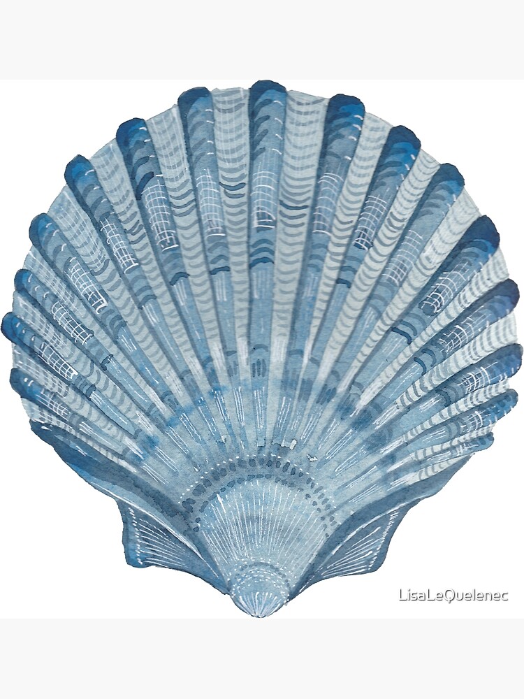 "Blue scallop fan shell - watercolour" Poster for Sale by ...