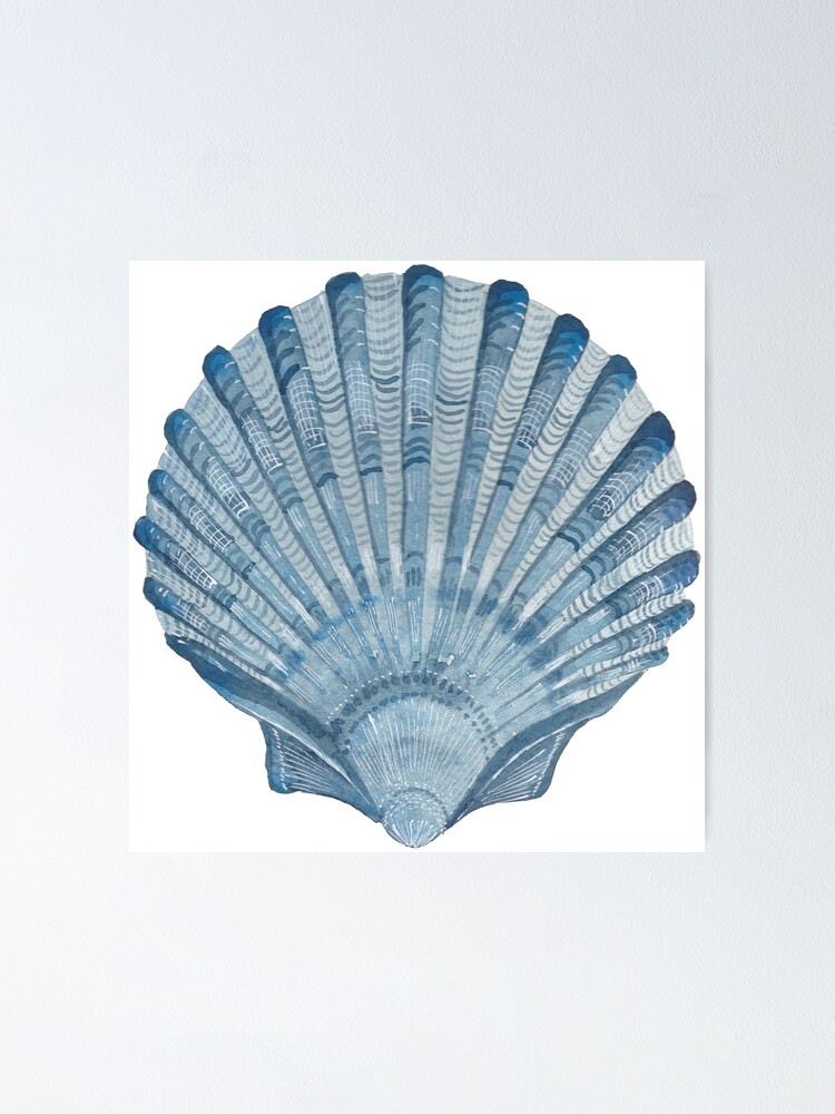 "Blue scallop fan shell - watercolour" Poster for Sale by ...