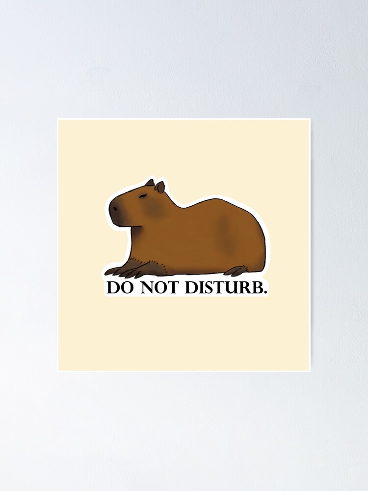 "Do Not Disturb. - Capybara (ne pas déranger.)" Poster for Sale by ...