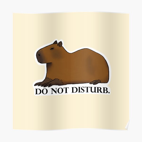 "Do Not Disturb. - Capybara (ne pas déranger.)" Poster for Sale by ...