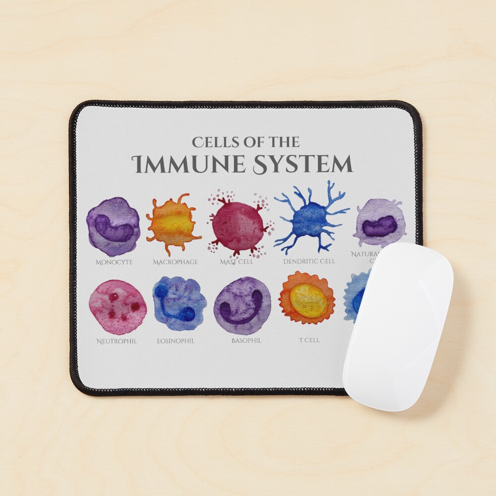 "Cells of the Immune System" Sticker for Sale by TineRose | Redbubble