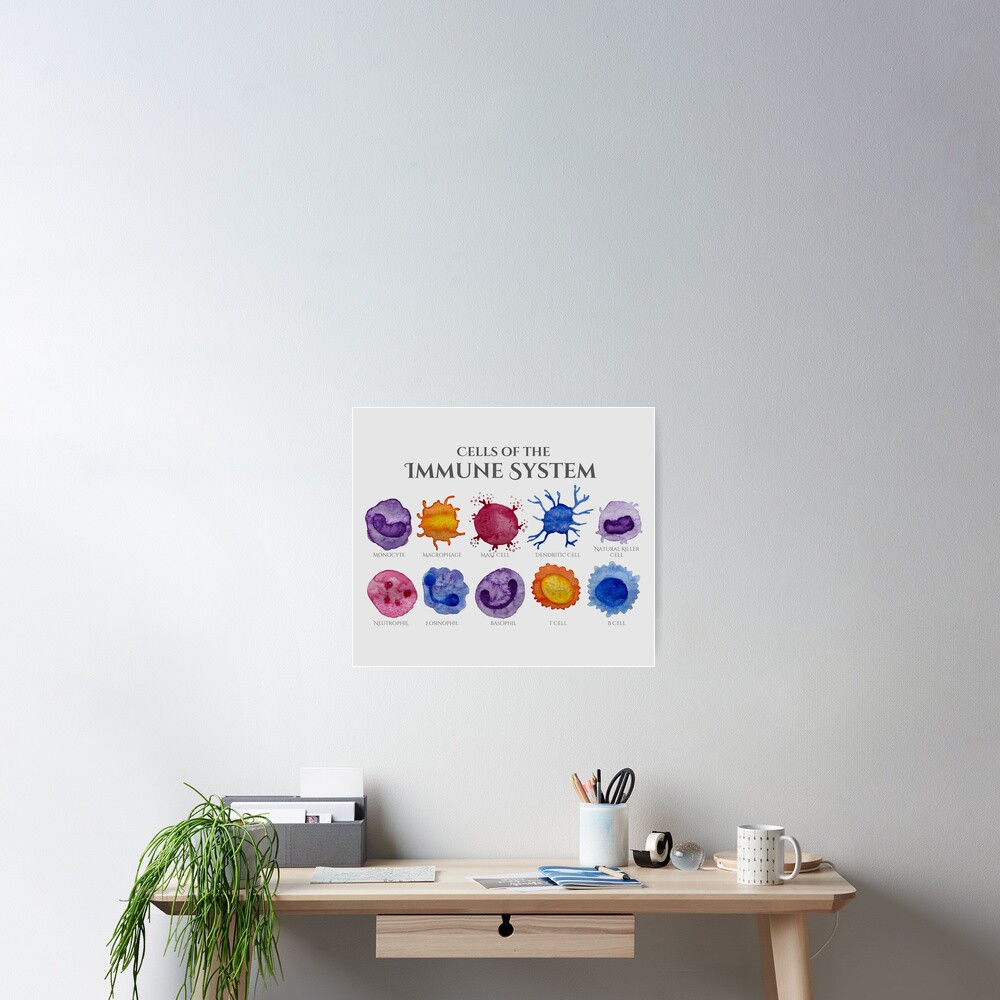 "Cells of the Immune System" Poster for Sale by TineRose | Redbubble
